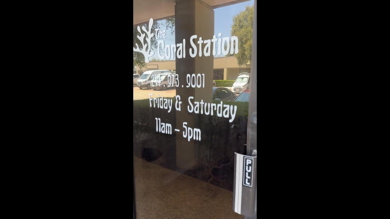 The Coral Station - The best LPS coral vendor in DFW? - YouTube