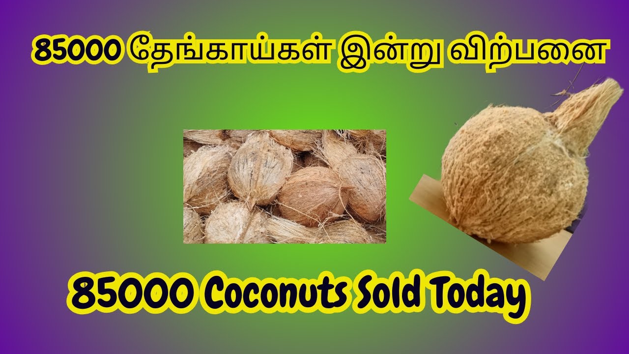 85 ஆயிரம் தேங்காய்கள் விற்பனை விலை சரிவு | 85000 Piece Coconut Sold At ...