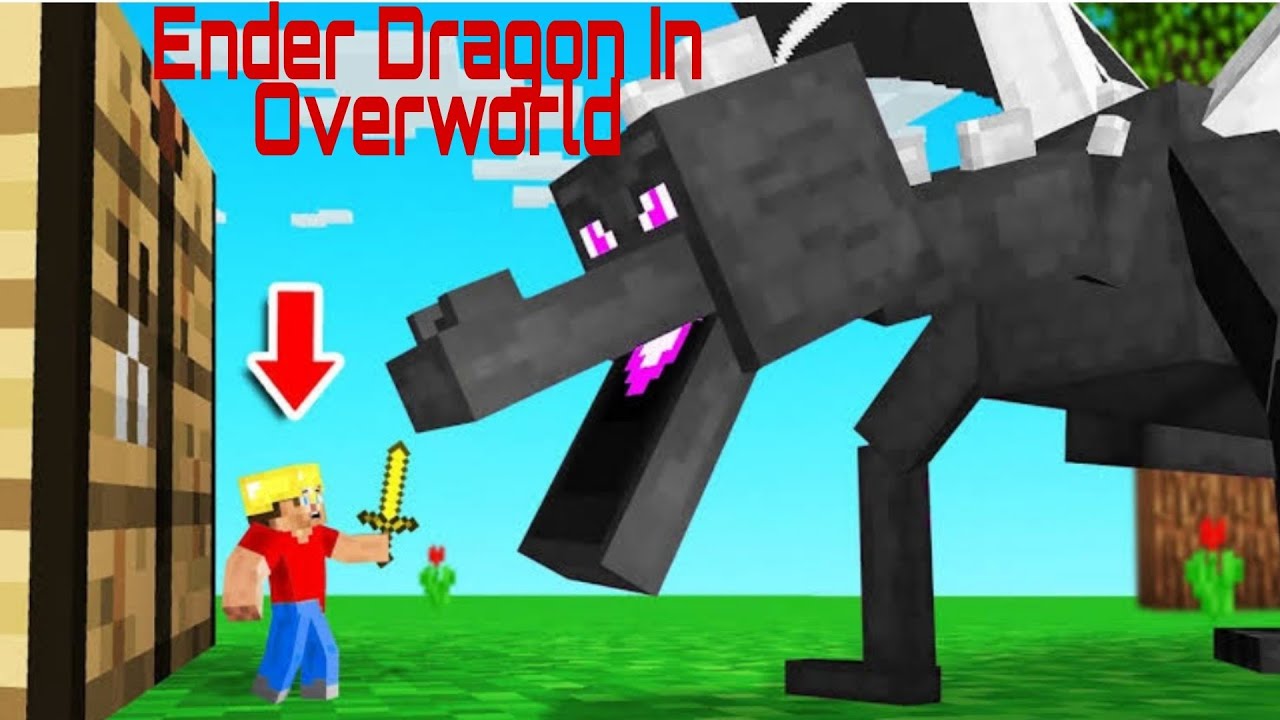 What happen if we summon ender dragon in overworld? enderdragon in ...