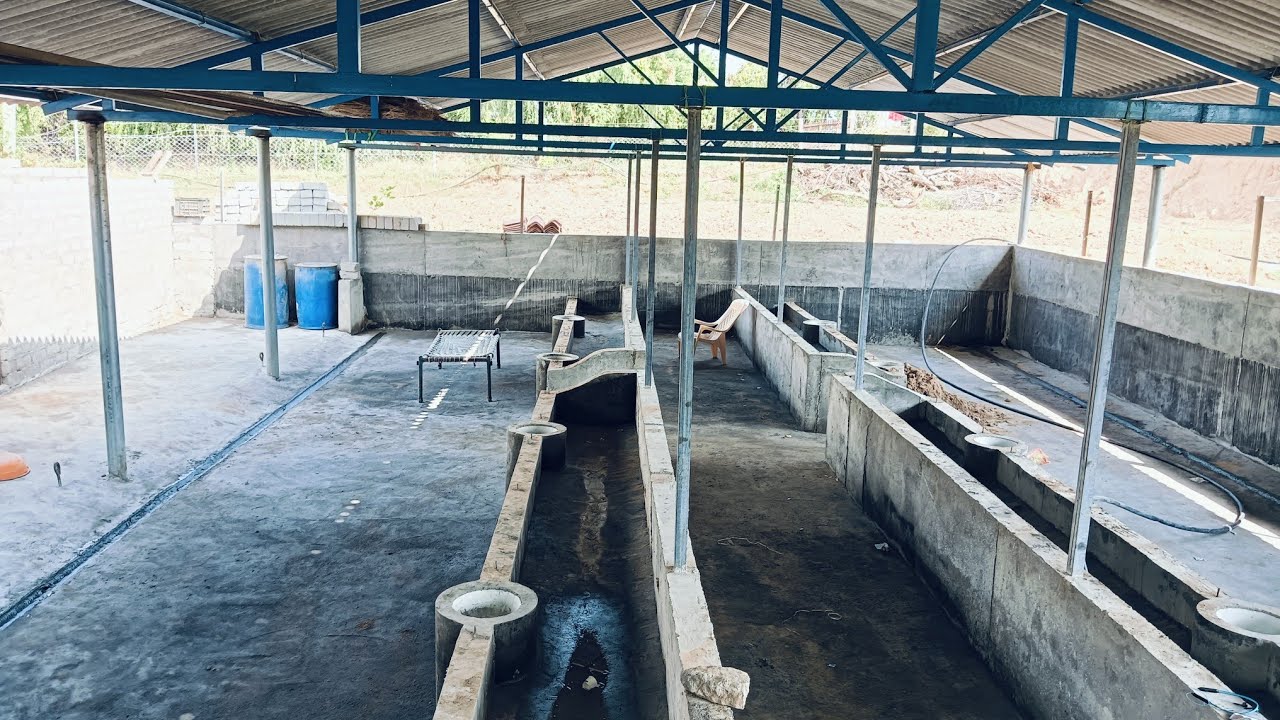 D_A_Thakor & RCC Contract Group, Lalpur || 13 October 2024 || Vasana ...