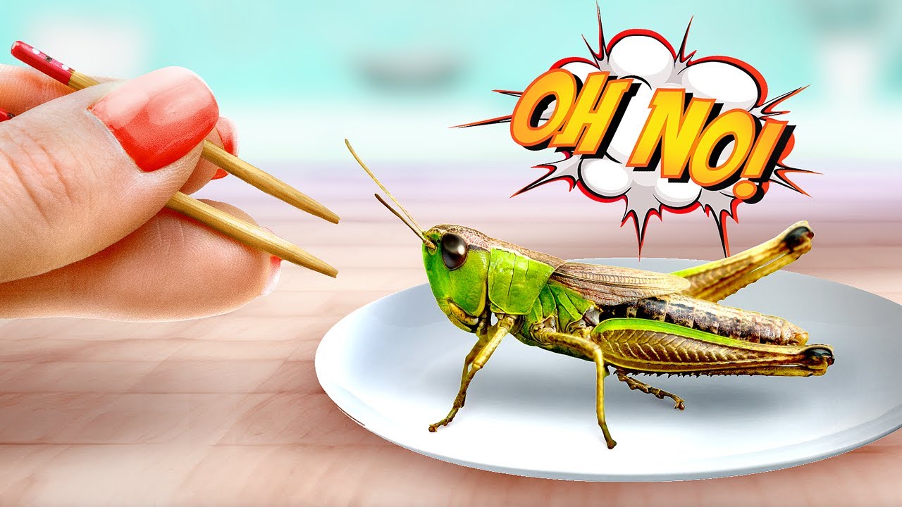 How To Make Cricket With Sauce Recipe | Exotic Cooking Cricket in ...