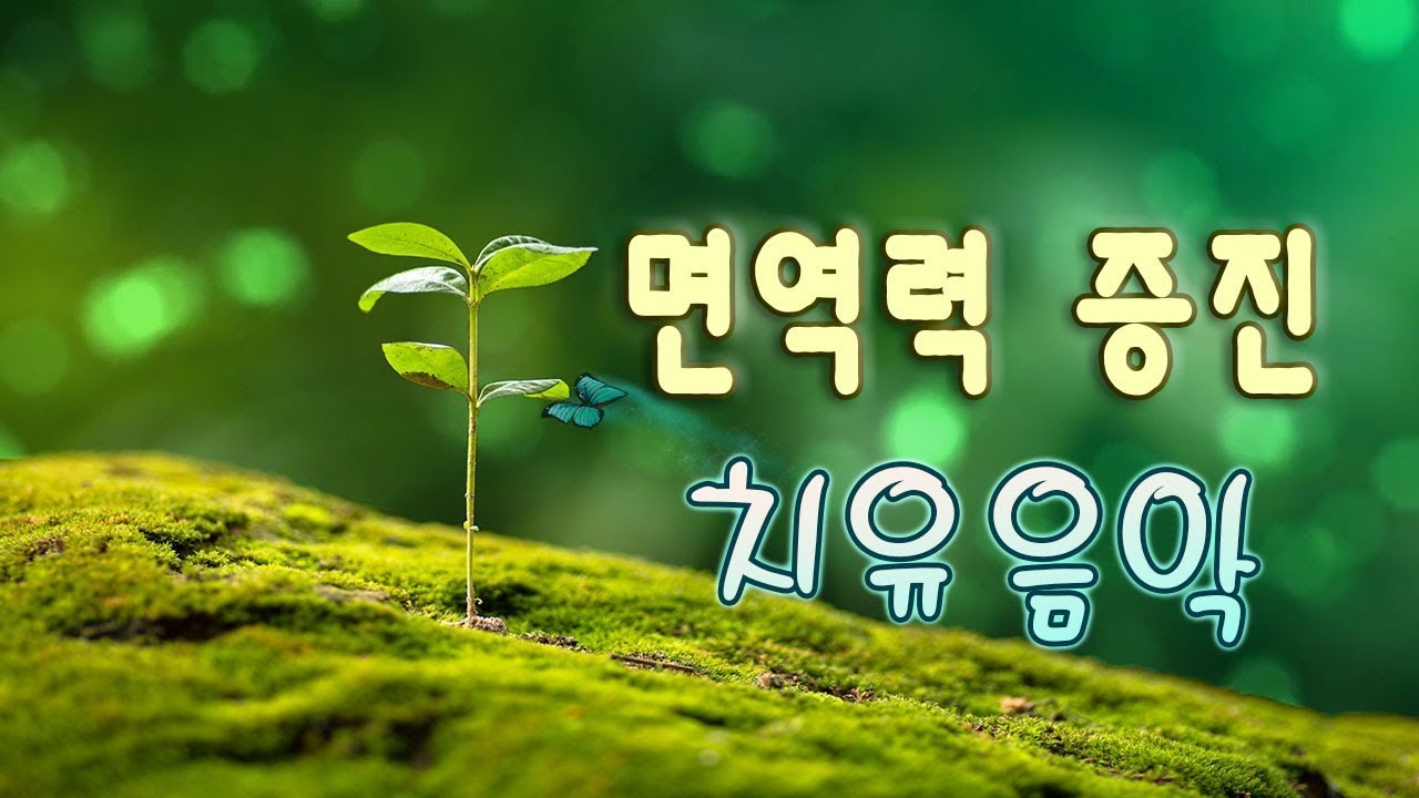 마음이 안정되고 기분 좋아지는 음악 🐛하루10분 만병을 치료 해주는 힐링 명상 기치료 음악 및 영상 아침명상음악 아침음악 힐링음악 명상음악 Youtube