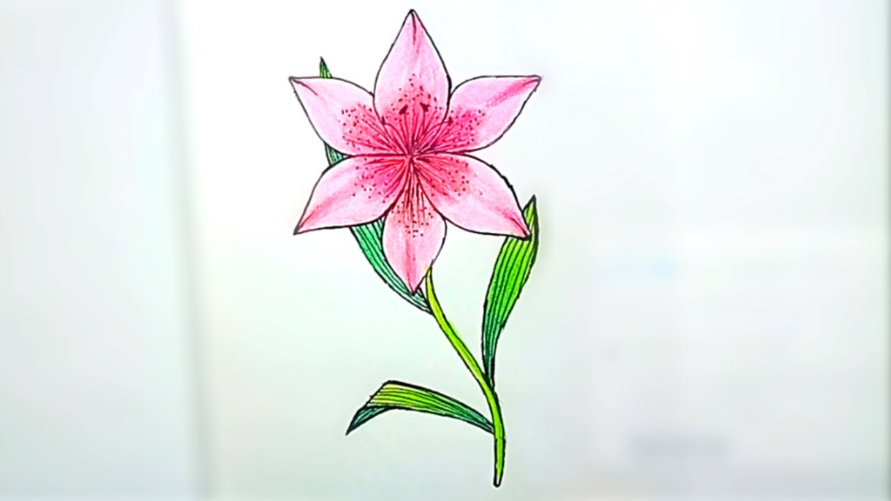 how to draw beautiful flower Drawing and Arts simple - YouTube