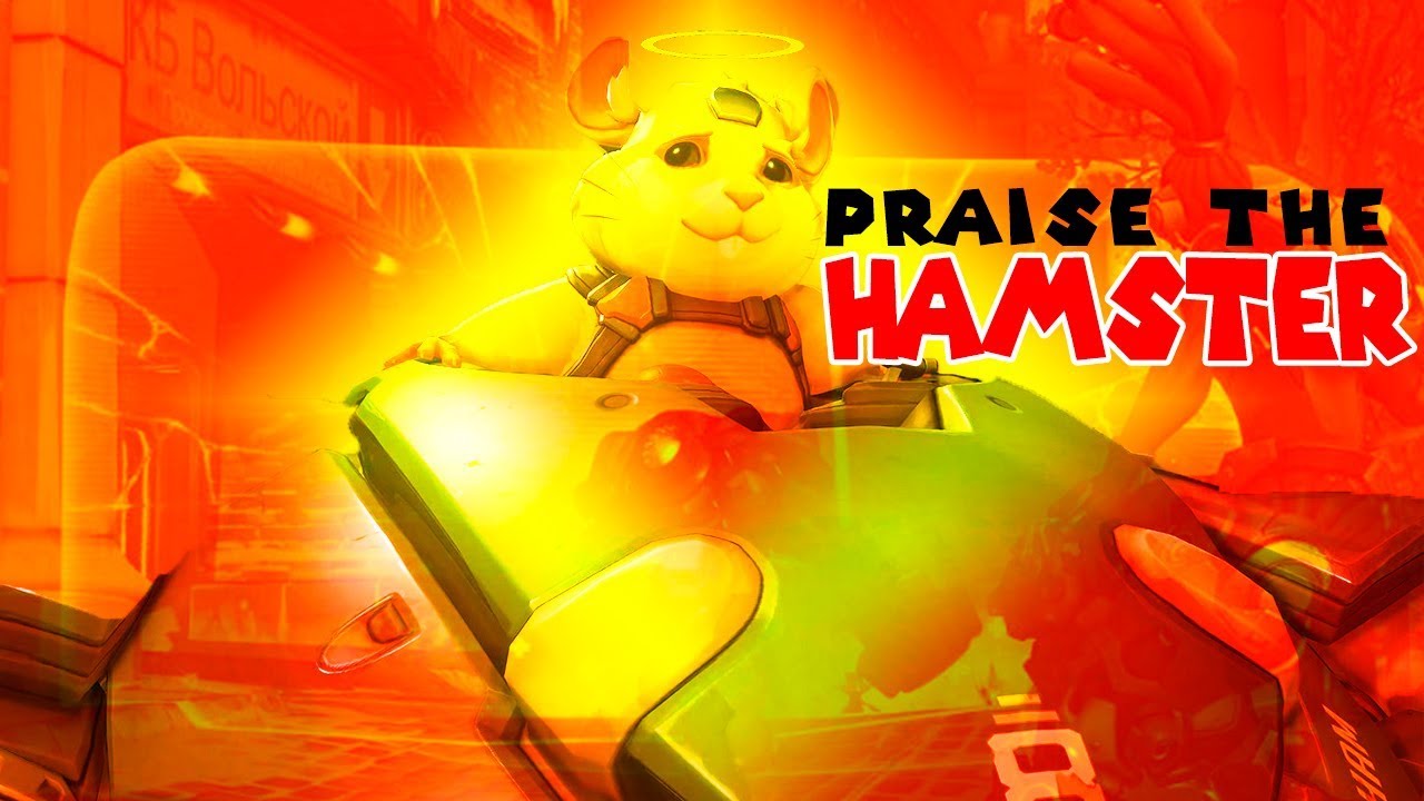 Hammy The Hamster - YouTube