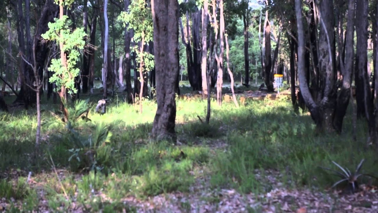 Aussie Open Disc Golf 2015 - Mundaring DiscGolfPark promo - YouTube