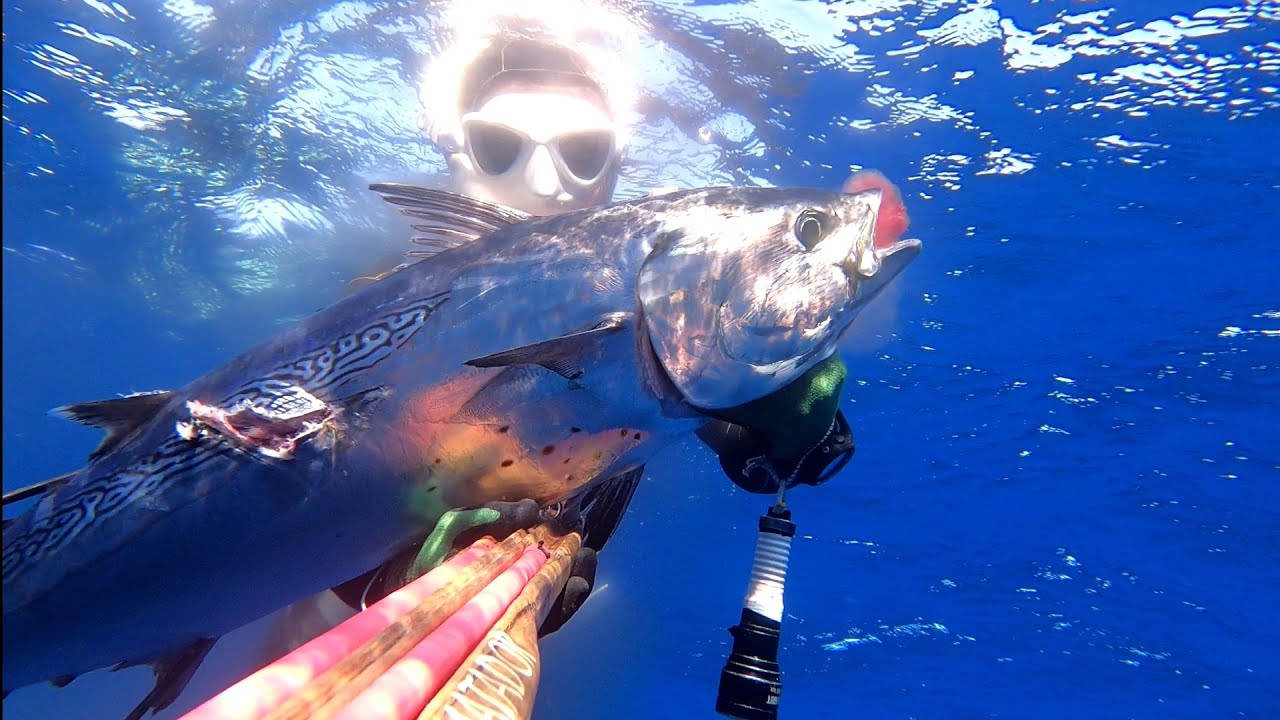 Alletterato 10 kg e Dentice 3,5kg 🌊🌊🐟🐟 - YouTube