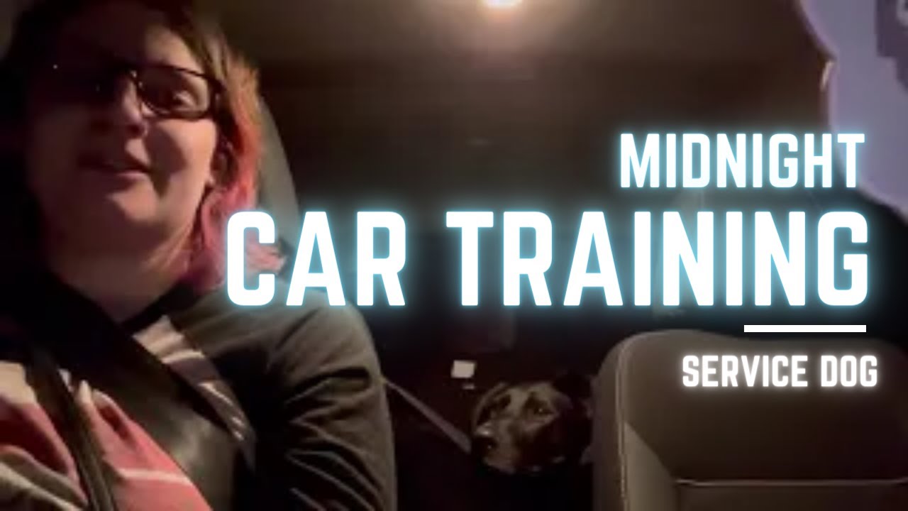 Midnight Car Training - YouTube