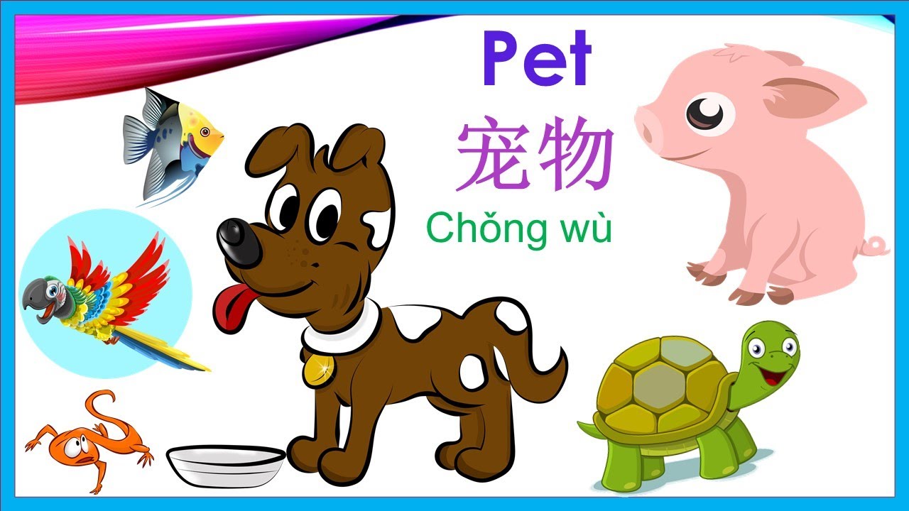 How To Say Pet In Chinese Chinese Pet Song included YouTube
