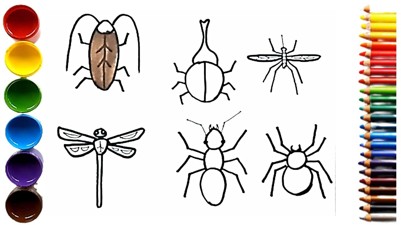 Insects Drawing Easy | Insectos para dibujar faciles - YouTube