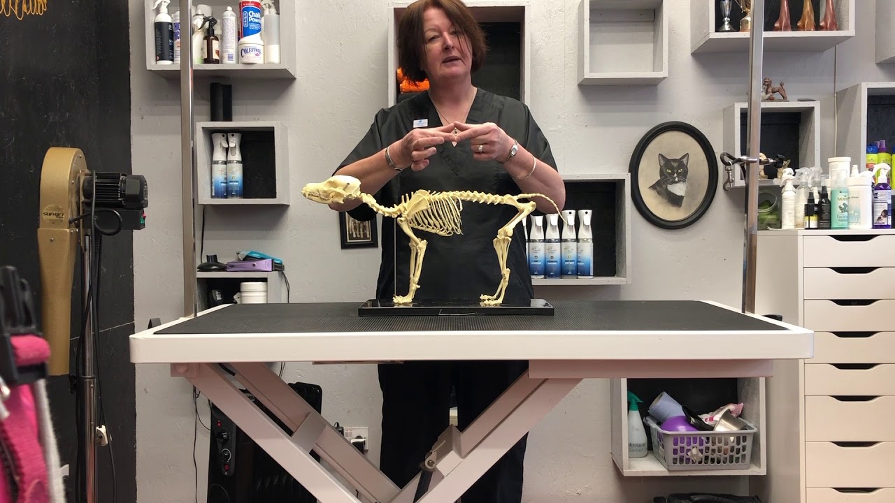 Julie bones - YouTube