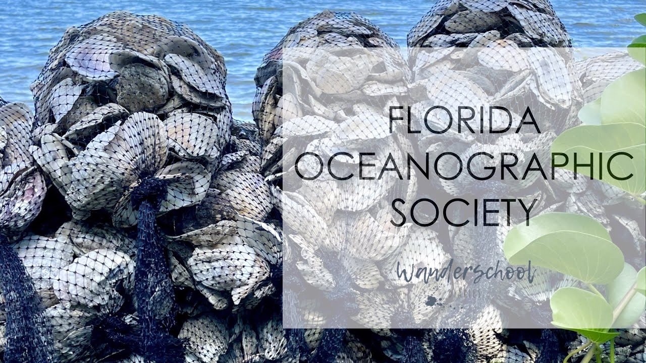 Florida Oceanographic Society - YouTube