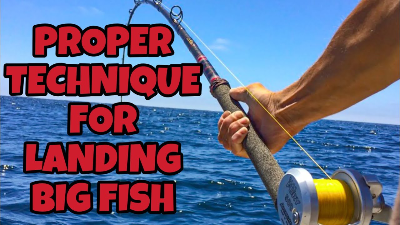 Proper Technique For Landing Big Fish - YouTube