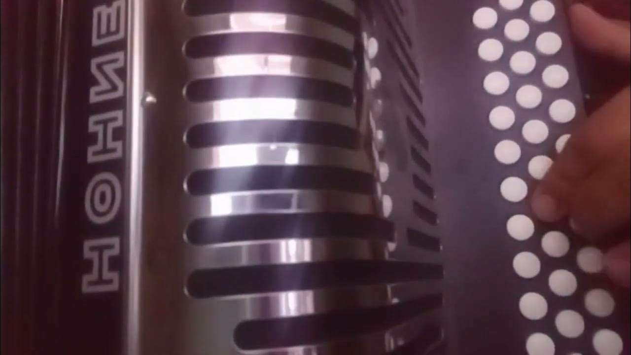 Tres Seis Cinco (365) Los Reales Del Río - KOVER acordeón 🪗 - YouTube