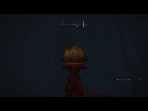 Elden Ring Winter lantern fly farm - YouTube