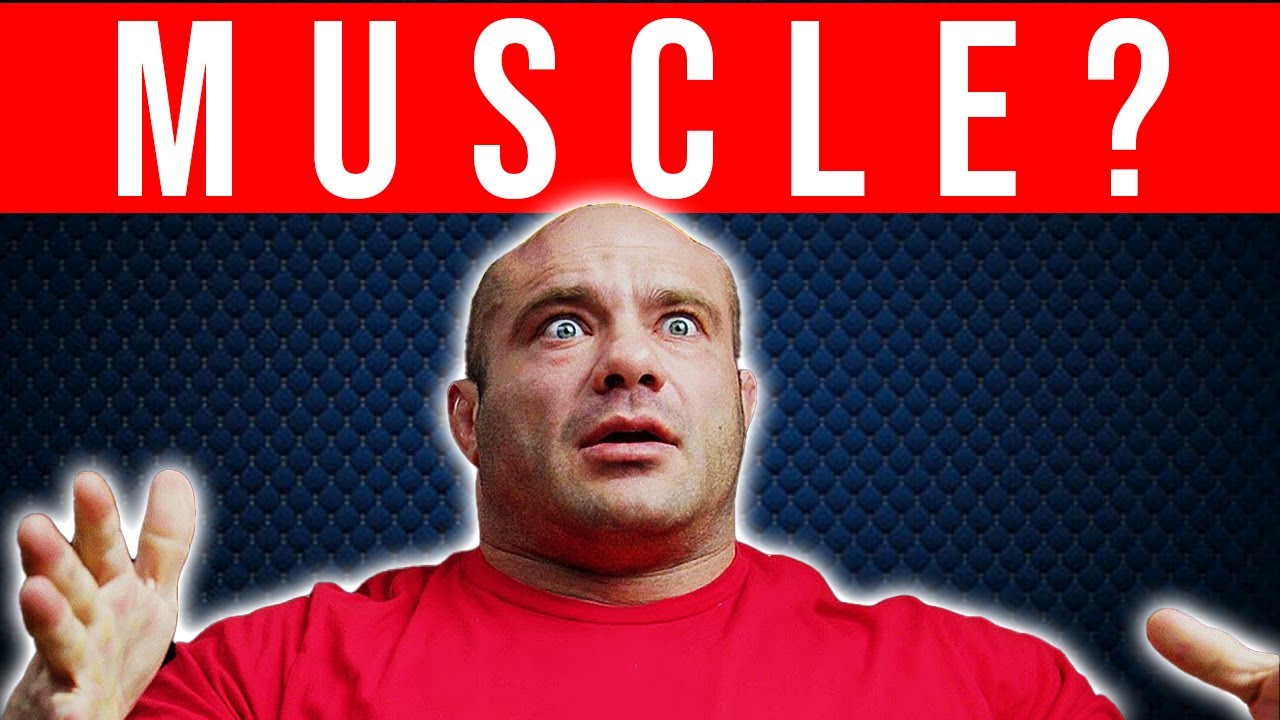 Why You're NOT Building Muscle with Calisthenics | FitnessFAQs Podcast ...