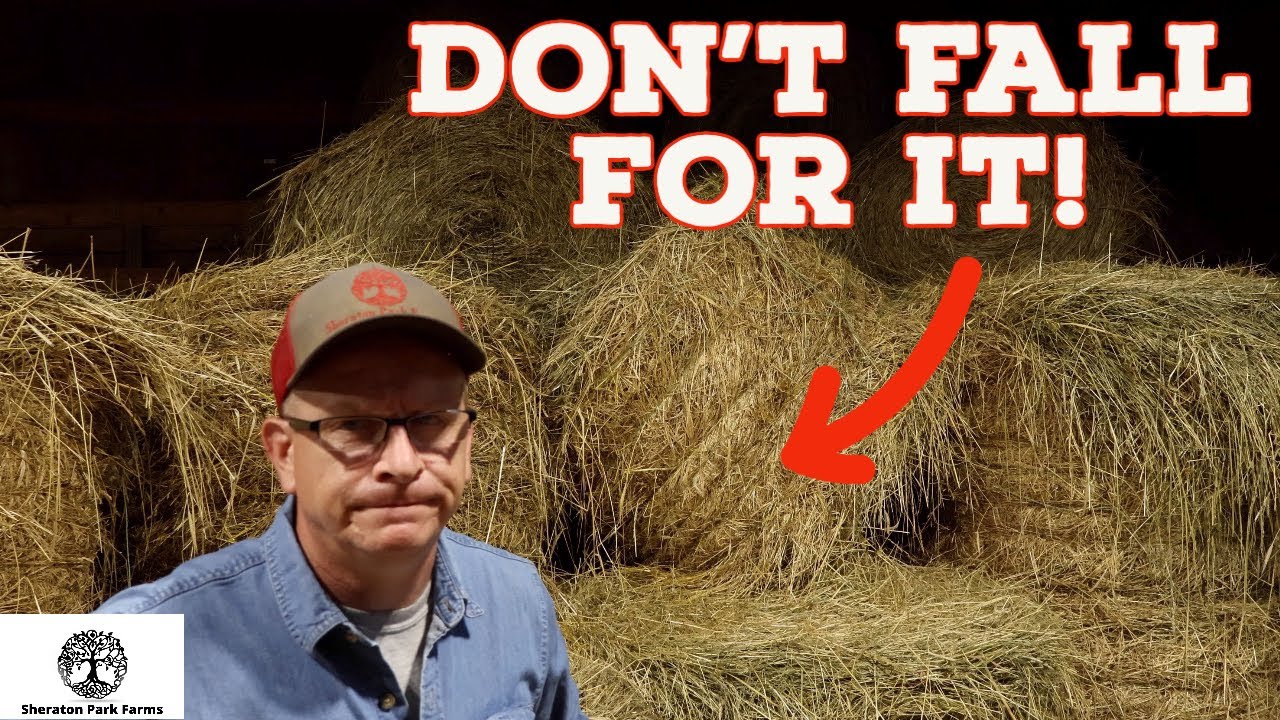 #1 Farming SCAM - You MUST Cut Hay - YouTube