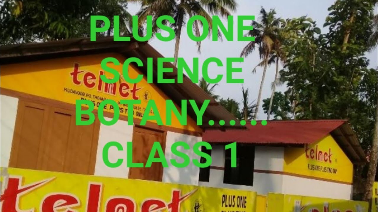 PLUS ONE SCIENCE - BOTANY - Introduction Class 1 - YouTube