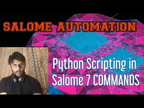 7 Commands For Python Scripting in Salome - YouTube