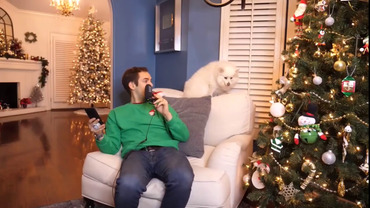 Jacksfilms dog being cute - YouTube