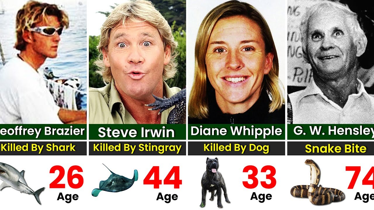 Famous People & Celebrities Who Died in ANIMAL ATTACKS - YouTube
