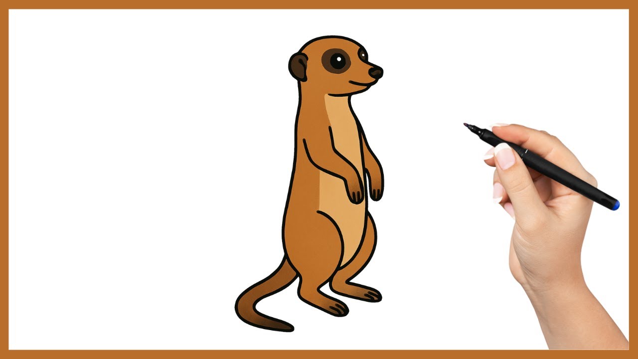 Comment dessiner un suricate facilement – Tuto dessin étape par étape ...