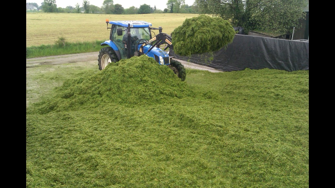 Silage In Westmeath |New Holland|T6010|T7|TS115A| - YouTube