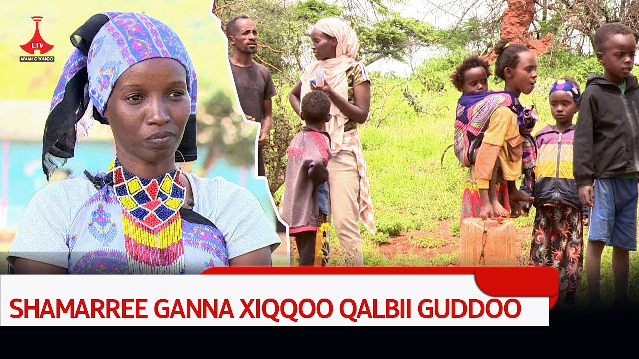 SHAMARREE GANNA XIQQOO QALBII GUDDOO - YouTube