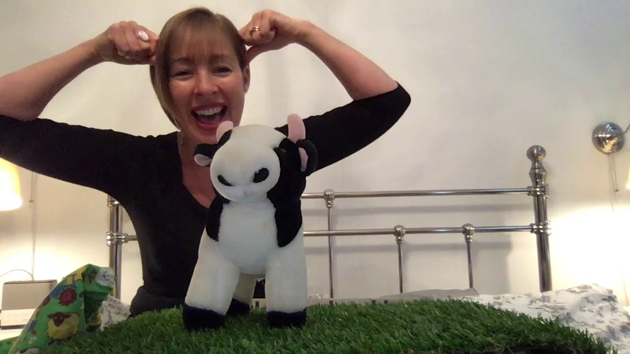 Old MacDonald Had a Farm - Makaton Signed Story - YouTube