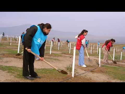 2 Fevral - Gənclər Günü - Müşfiqabad qəsəbəsində keçirilən ağacəkmə aksiyası