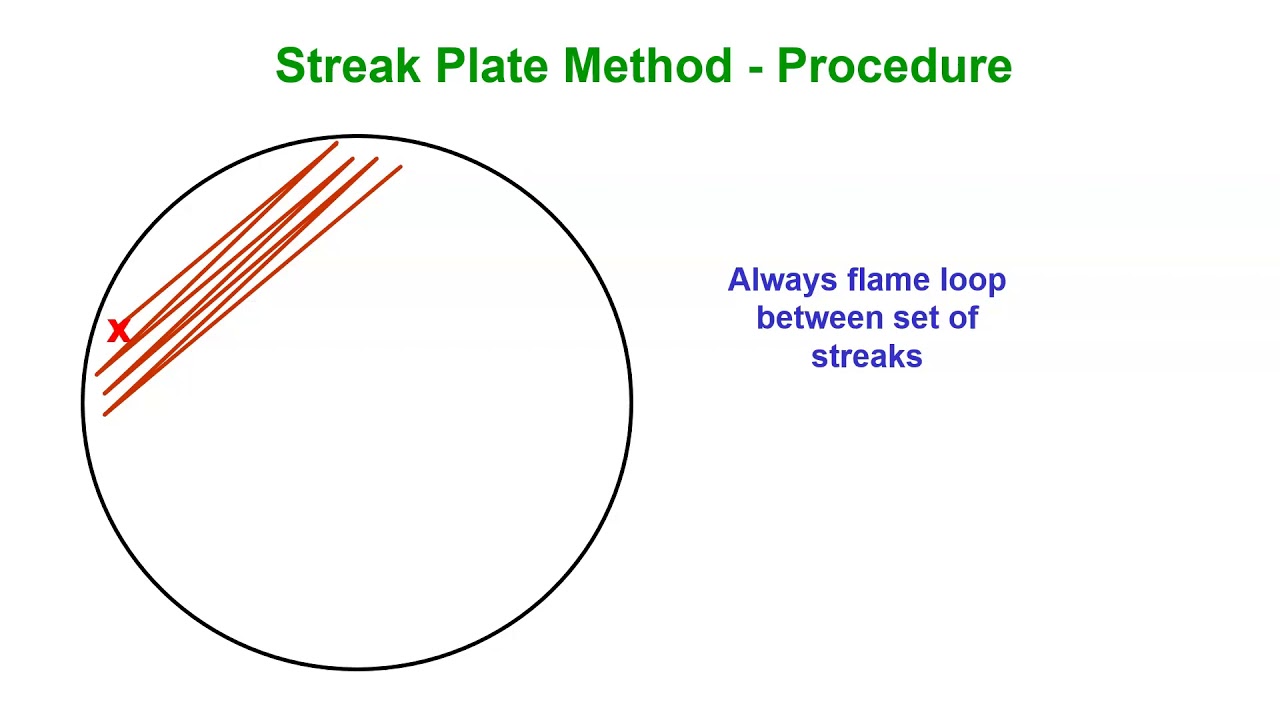 Streak plate vii19 - YouTube