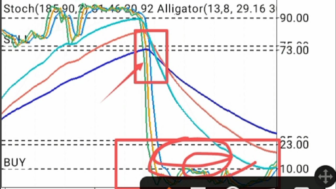 Powerful experience using, DOUBLE ALLIGATOR mobile strategy for ...