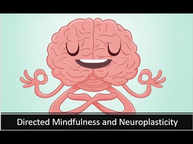 Meditation And Neuroplasticity How Cultivating Mindfulness After Brain