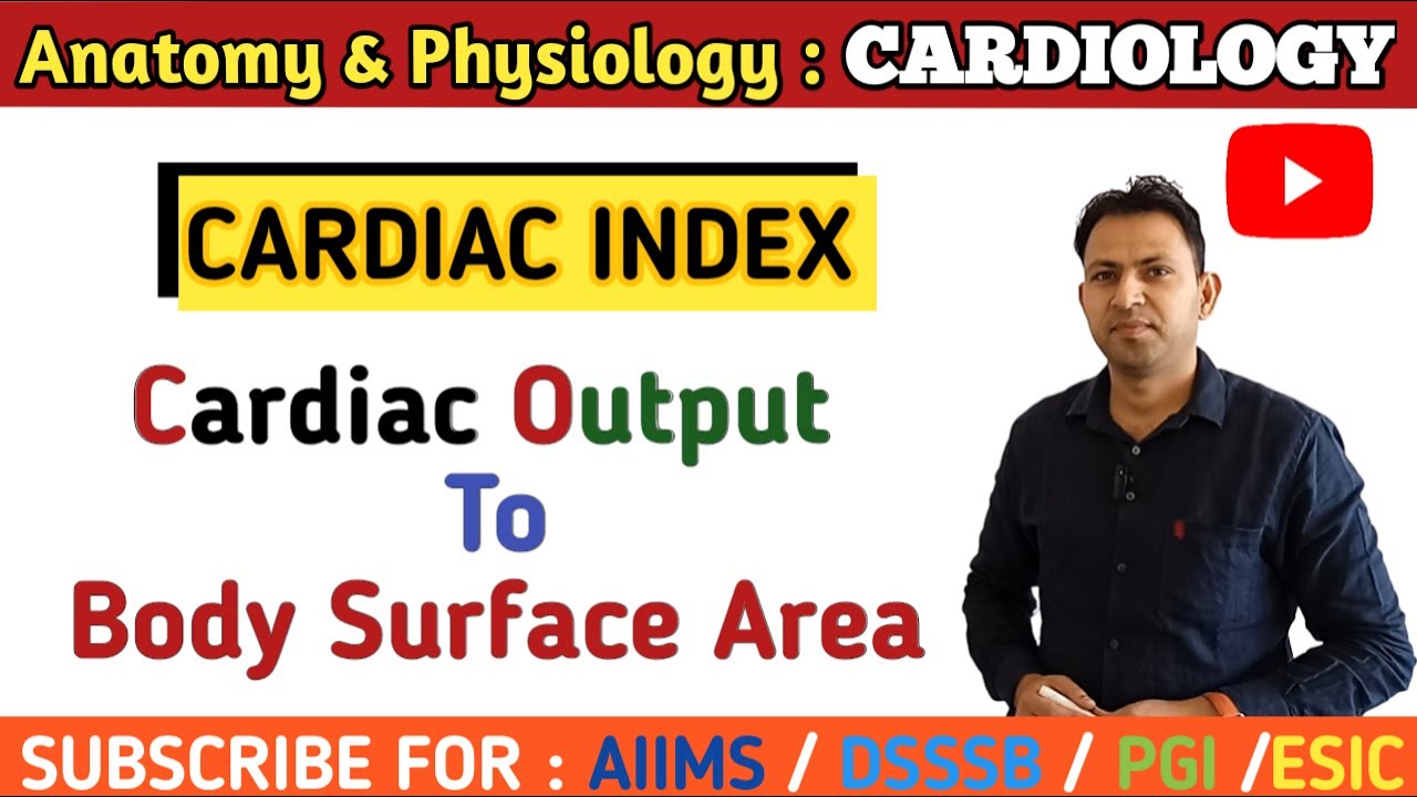 Cardiac Index - low and high cardiac index means? (Assessment of ...