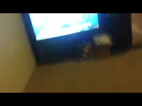 PBS kids dash's dance party - YouTube