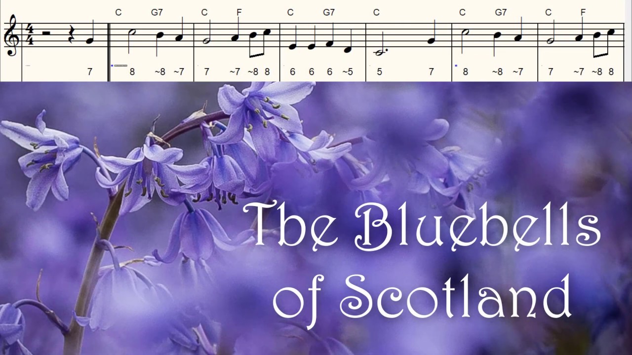 The Bluebells of Scotland - YouTube