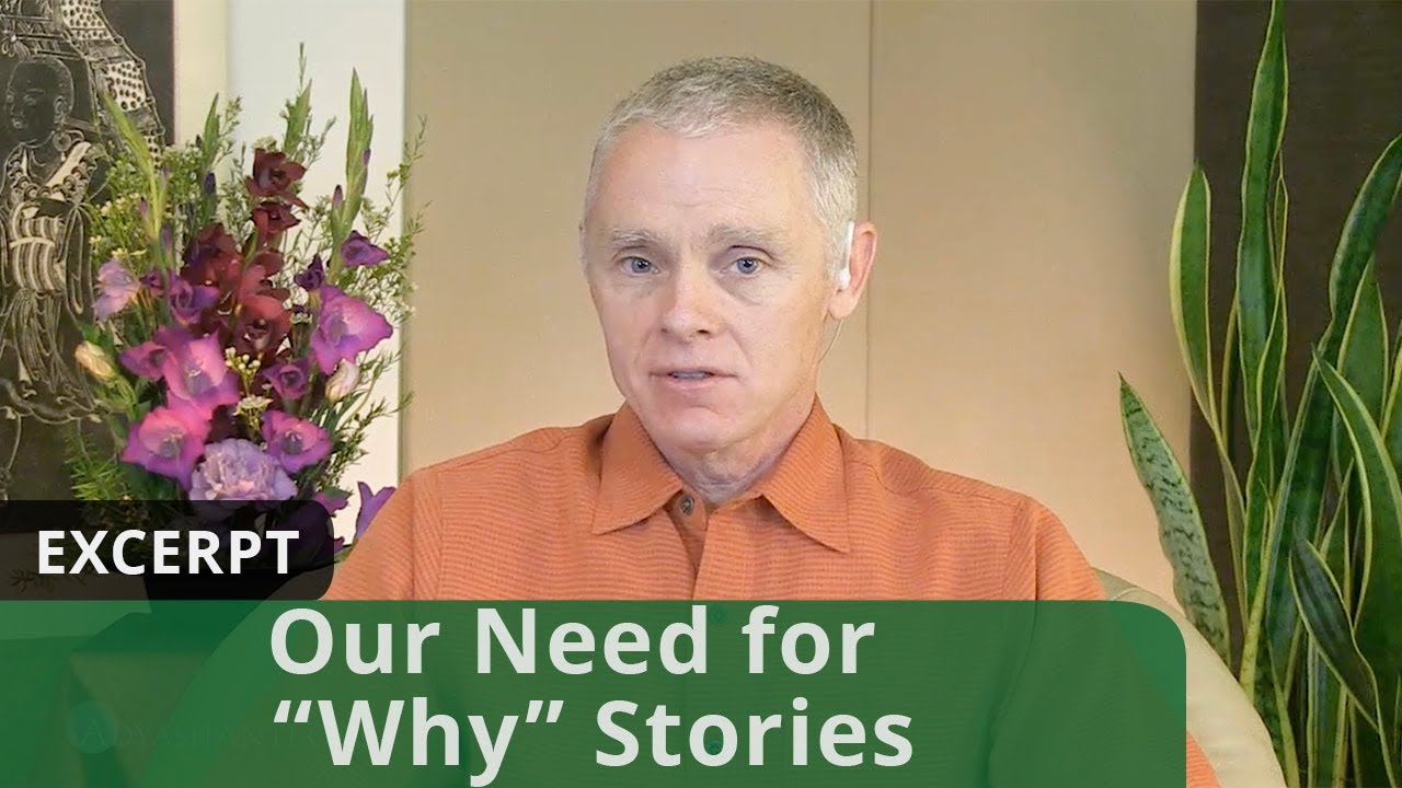 Our Need for "Why" Stories (Excerpt) - YouTube