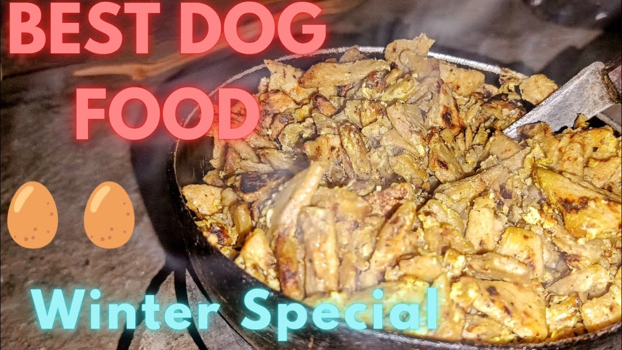 🇮🇳 Indian Style Dog 🚩Food (Winter 🥶Special) Easy Recipe 🍞🥚... Special ...