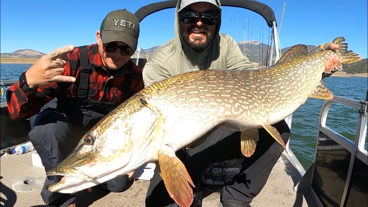 Huge pike while fishing Eagle Nest Lake - YouTube