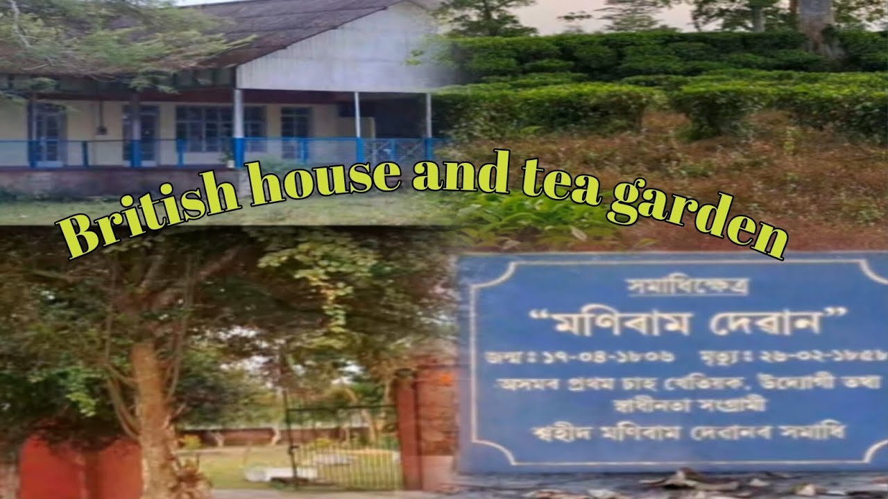 British house and tea garden ll Beautiful place assamese jorhat tea ...