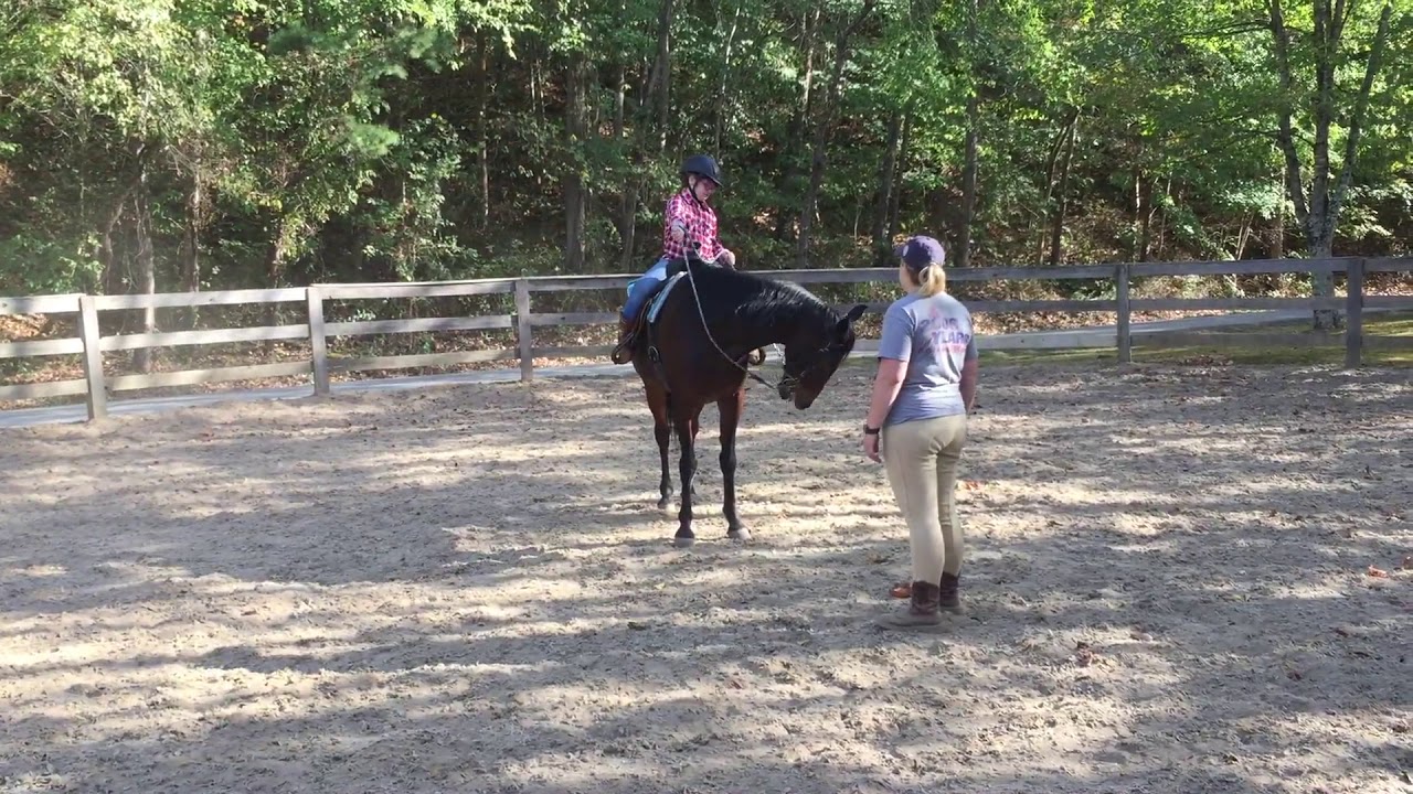 My First Horse Riding Lesson - YouTube