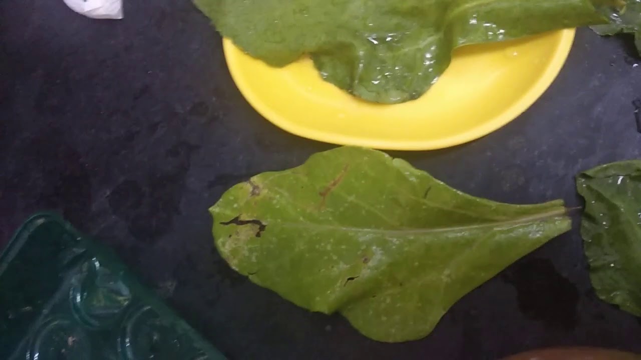 Home made fresh Palak leaves | 2020 - YouTube