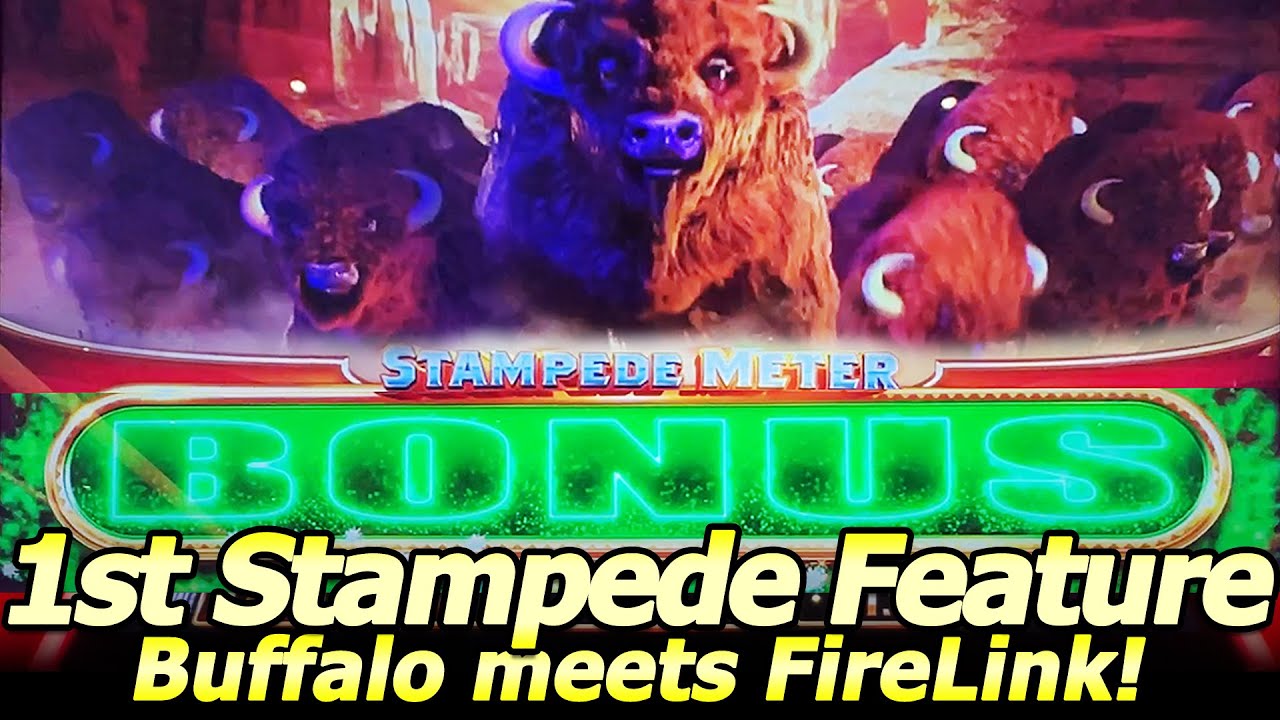 Buffalo Ultimate Stampede Slot - My First Stampede Feature and Free ...