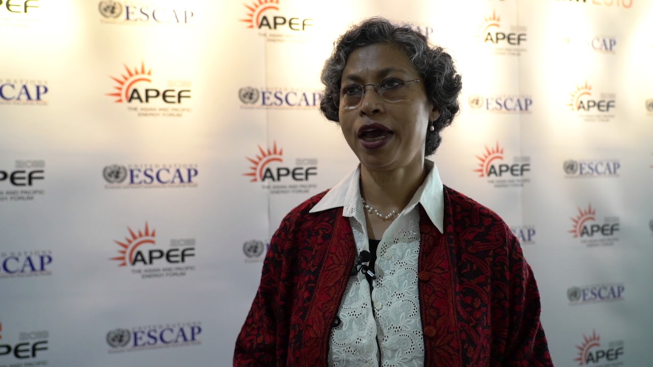 Voices from APEF2: Joyashree Roy - YouTube