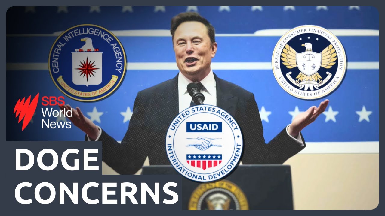 Calls for Elon Musk and members of DOGE to be investigated for national ...