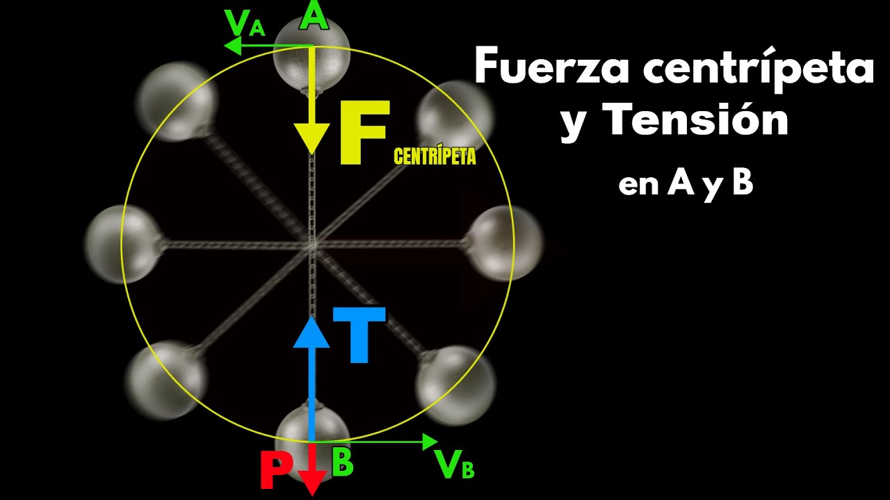 Fuerza centrípeta y Tensión en una cuerda con una bola girando en un ...