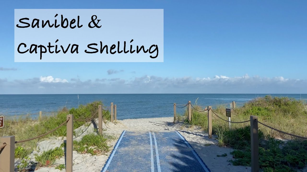 How to find shells. Captiva & Sanibel Island shelling. - YouTube