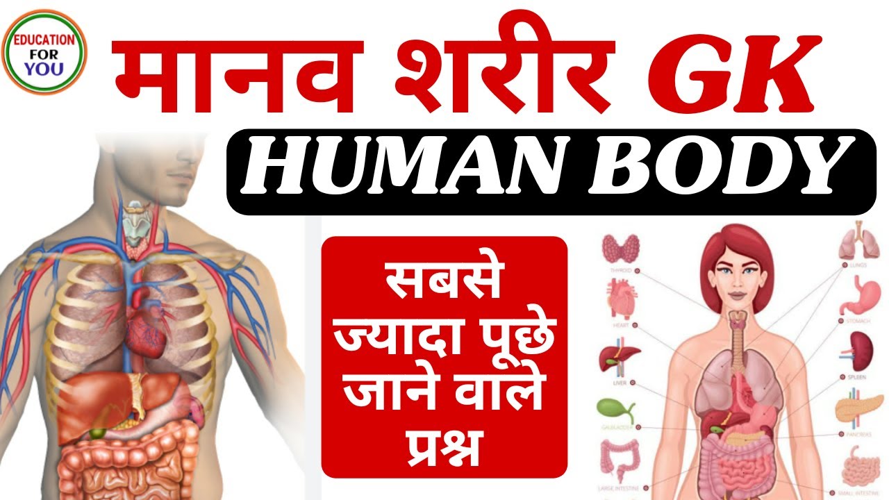 human body gk 2024 | human body most important fact | manav sarir gk ...