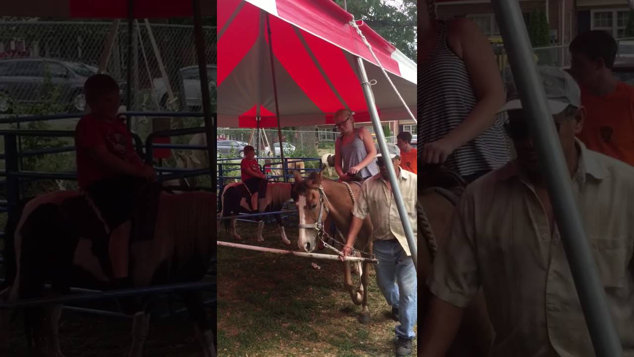 Pony rides - YouTube