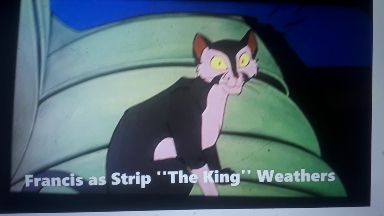 Animals (Cars) Cast Video - YouTube