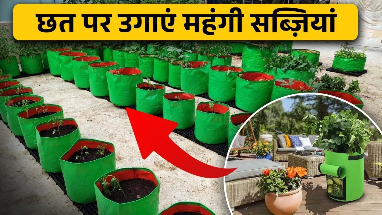 Grow Bags में सब्जियां उगाने की कम्पलीट जानकारी | Grow Bag Farming ...